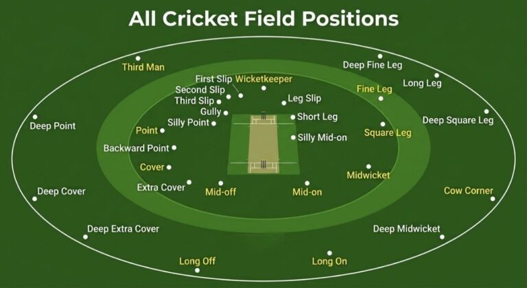 30+ Cricket Field Positions Explained - The Ultimate Guide